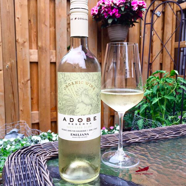 September 2, 2020 Review of: Adobe Reserva Organic Sauvignon Blanc ...